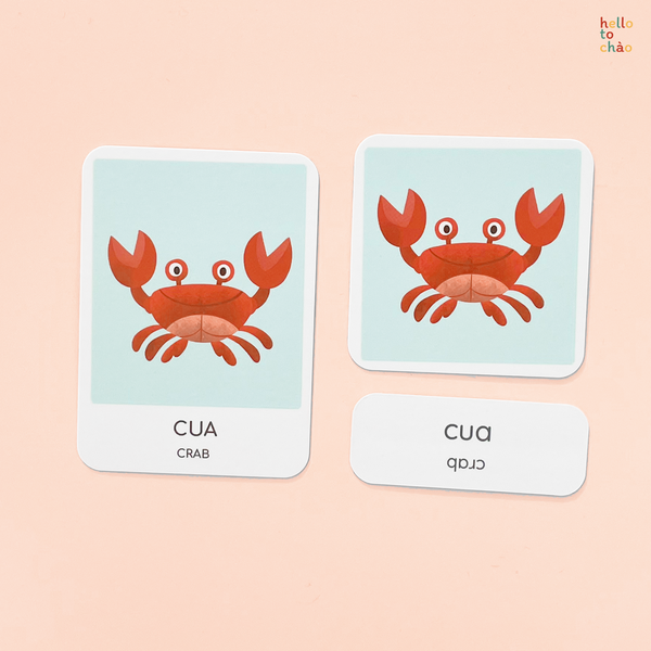 Animal Flashcards – Hello To Chào
